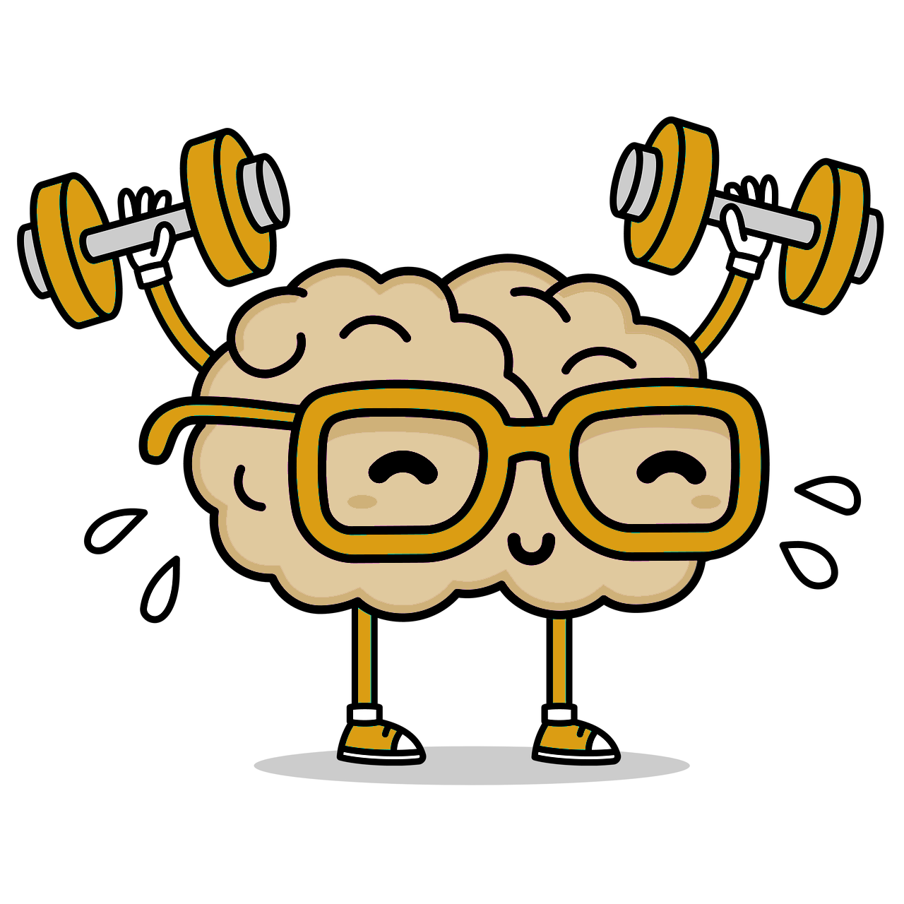 Mentale Fitness erlangen mit PQ Training